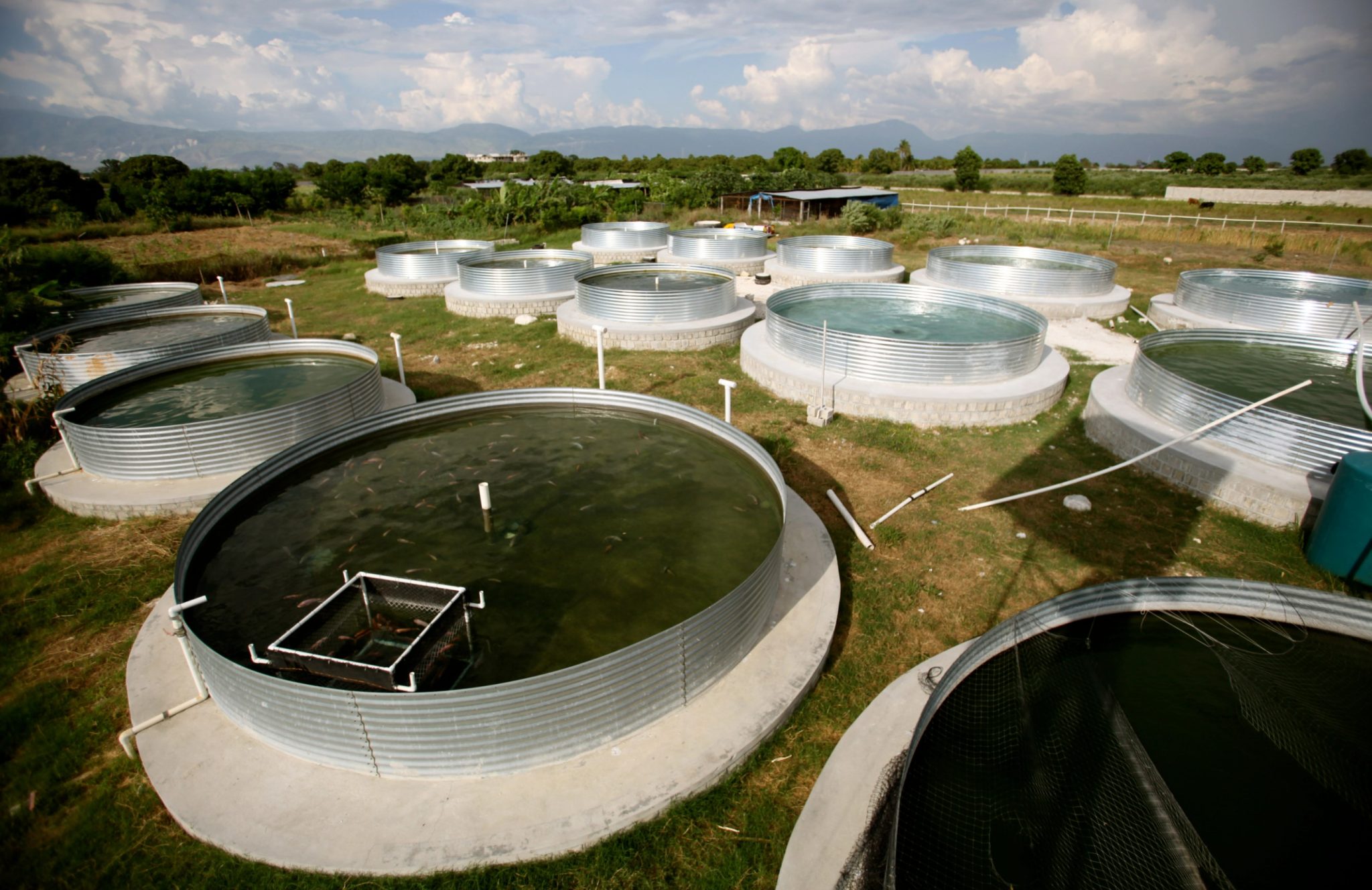 Geothermal Water & Fish Farms – Jeotermal Enerji